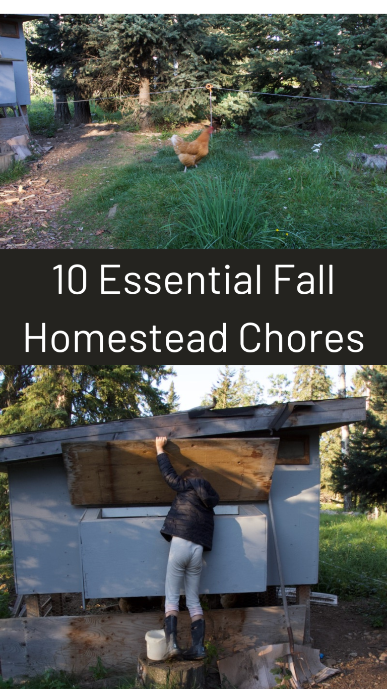10 Essential Fall Homestead Chores - Mossy Meadow Homestead