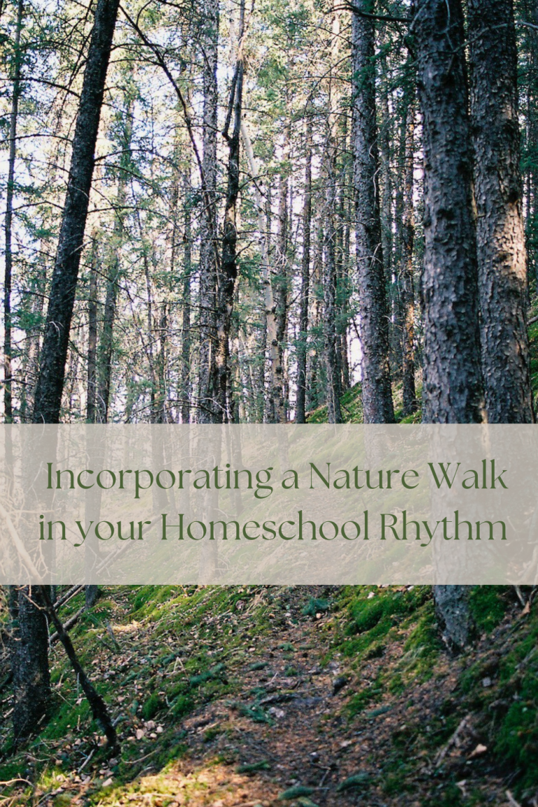 Incorporating a Nature Walk in your Homeschool Rhythm - Mossy Meadow ...