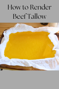 How to Render Beef Tallow - Mossy Meadow Homestead